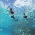 Caribbean Star Snorkeling Tour - The Practical Details