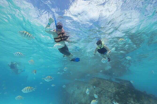 Caribbean Star Snorkeling Tour - The Practical Details