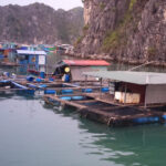 Cat Ba: 2-Day Lan Ha Bay Cruise with Plankton Excursion - Exploring the Itinerary in Detail