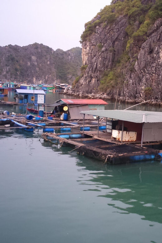 Cat Ba: 2-Day Lan Ha Bay Cruise with Plankton Excursion - Exploring the Itinerary in Detail