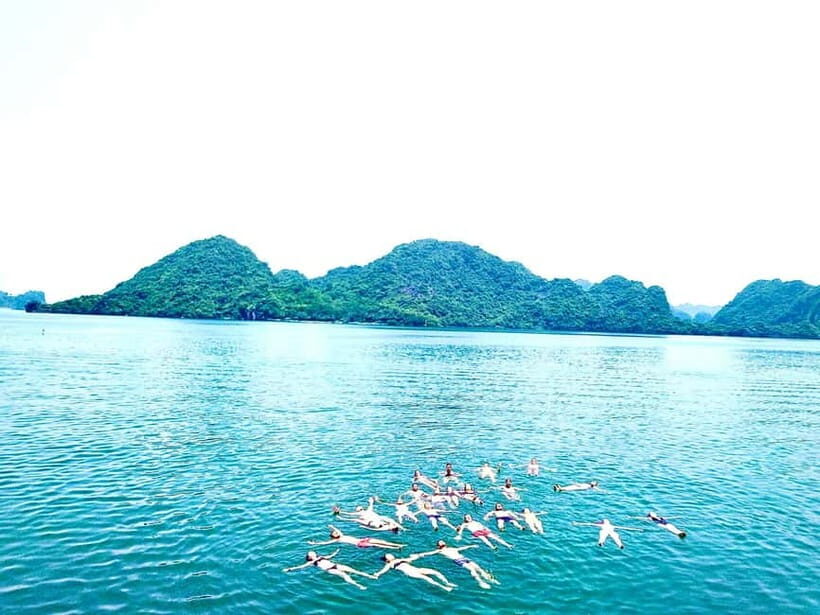 CAT BA :2D1N Lan Ha bay-Ha Long bay with Plankton Excursion - The Experience: What Sets This Tour Apart