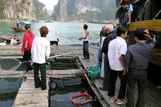 Cat Ba Cooking Class Go to Market with Seafood from Cat Ba Town - Key Points