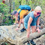 Cat Ba National Park Full-Day Guide Tour Trekking, Biking,Kayaking - What We Think About the Cost and Overall Value