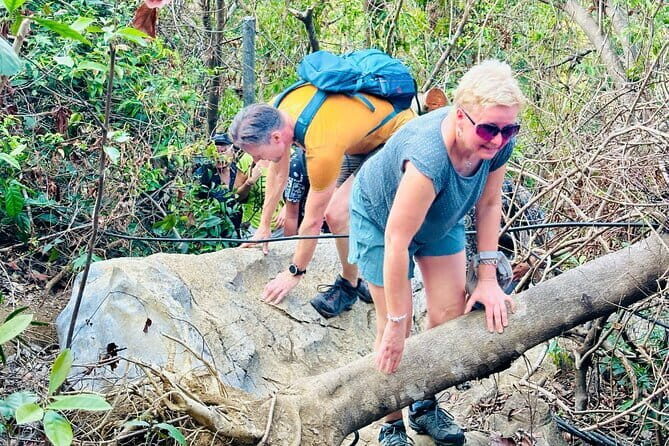 Cat Ba National Park Full-Day Guide Tour Trekking, Biking,Kayaking - What We Think About the Cost and Overall Value