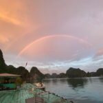 Cat Ba: Sunset and Plankton Bioluminescent Night Kayak - The Experience in Detail: What You Can Expect