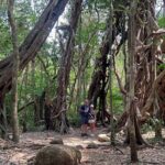 Cat Tien National Park Tour: Biking, Walking, Wildlife Safari - In-Depth Review of the Cat Tien National Park Tour