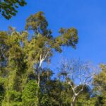 Cat Tien National Park with Crocodile Lake - Final Thoughts on the Cat Tien National Park Tour