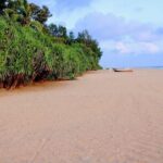 Catamaran Sunset Sailing in Trincomalee - Final Thoughts: Is It Worth It?