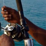 Catch the fish of a lifetime in adventurous waters  Negombo - Value and Price Analysis