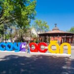 CDMX Enjoy a unique tour of Xochimilco and Coyoacán - Who Should Consider This Tour?