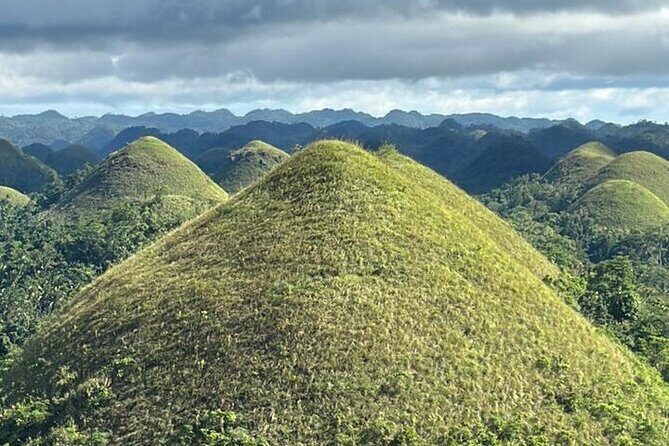 Cebu-Bohol Private Day Tour with Chocolate Hills + Ferry Tickets - What Travelers Say