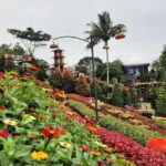 Cebu City: Cultural Heritage Tour & 10,000 Roses Visit - Practical Details & What to Expect
