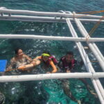 Cebu Island Hopping with Lunch - Who Should Consider This Tour?