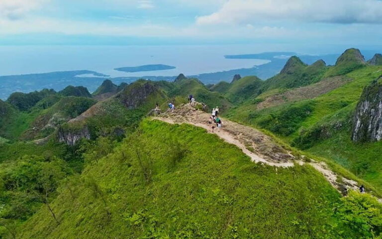 Cebu: Oslob Whale Shark, Tumalog Falls, and Osmeña Peak Tour - Highlights and Considerations