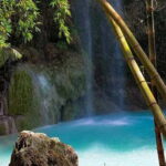 Cebu: Oslob Whale Shark, Tumalog Falls, and Sumilon Sandbar - What This Tour Means for You