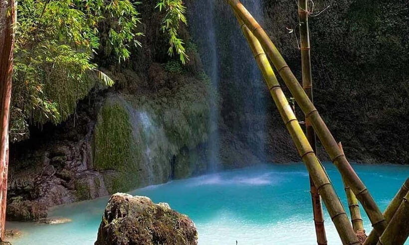 Cebu: Oslob Whale Shark, Tumalog Falls, and Sumilon Sandbar - What This Tour Means for You