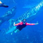 Cebu: Oslob Whale Sharks & Kawasan Canyoneering Group Tour - A Deep Dive Into the Tour Experience