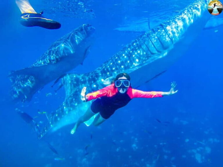 Cebu: Oslob Whale Sharks & Kawasan Canyoneering Group Tour