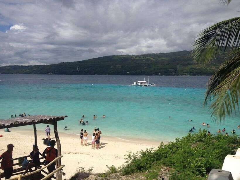 Cebu: Private Sumilon Island & Optional Whale Shark Swim - The Pros and Cons in Perspective