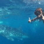 Cebu: Whale Shark Oslob and Moalboal Snorkeling Adventure - Is This Tour Worth It?