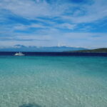 Cebu: Whale Shark Watching, Tumalog Falls & Sumilon Island - Who Should Consider This Tour?