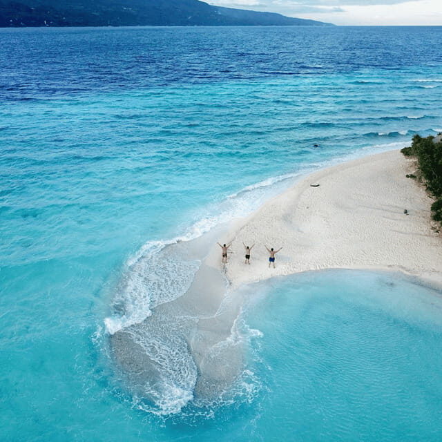 Cebu Whale Sharks Tumalog Falls Sumilon - Who Will Enjoy This Tour?