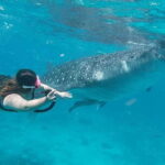 Cebu: Whaleshark Encounter, Tumalog Falls & Sumilon Sandbar - Transportation and Logistics