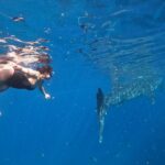 Cebu Whalesharks, Sumilon Island & Tumalog falls - Final Thoughts: Who Will Love This Tour?