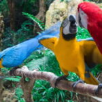 Cebu:Cebu Safari Adventure Park Day Trip - Who Should Consider This Trip?