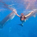 Cebu:Whale Shark, Waterfall, and Sardine Run Group Tour+Meal - The Experience: What Travelers Love and What to Watch Out For