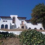 Celebrity Death and Scandal Tour - What to Expect From the Experience