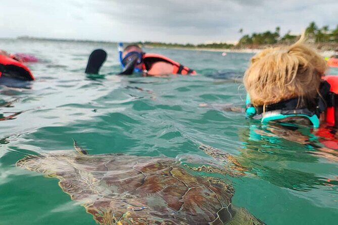 Cenote and Swimming with Turtles Private Tour in Akumal - Exploring the Cenote Taak Bi Ha