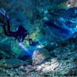 Cenote PRO Just for Experts - What Are Cenotes and Why Are They Special?