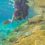 Cenote; Snorkeling and Photos with Colorful Fish - What Could Be Improved?