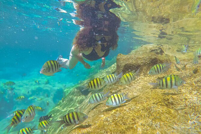 Cenote; Snorkeling and Photos with Colorful Fish - What Could Be Improved?