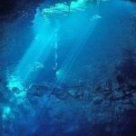 Cenotes 2-Tank Dive in Playa del Carmen/for certified divers only - The Itinerary: From Jungle to Cavern