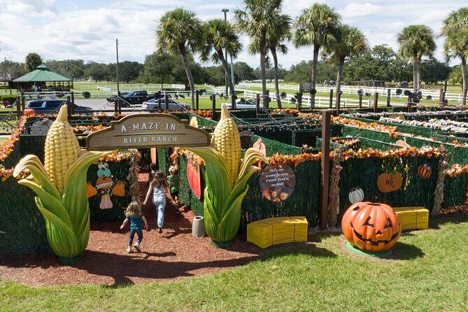 Central Florida Adventure Park - Authentic Dude Ranch Experience - The Highlights and Considerations