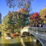 Central Park Intervention Shared Walking Tour - What Past Participants Say