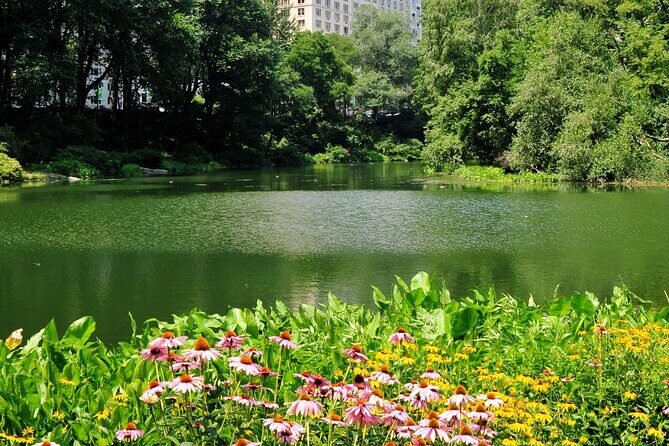 Central Park Scenic Walk with Local Guides - The Value of Guided Local Knowledge