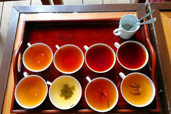 Ceylon Tea Tasting in Colombo - What You Can Expect from the Experience