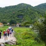 Cham Island Day Tour from Hoi An with Group tour - What Do Past Travelers Say?