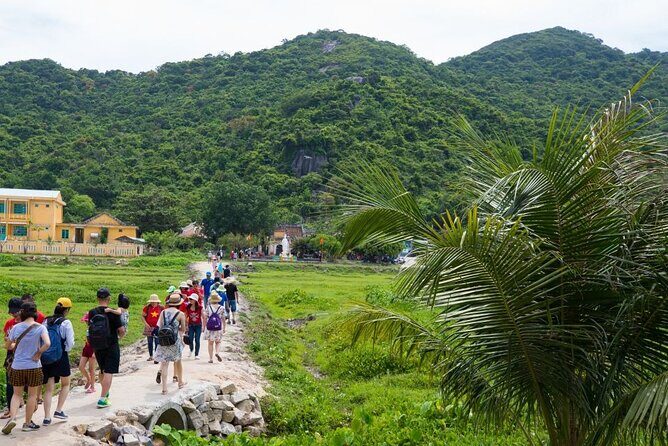 Cham Island Day Tour from Hoi An with Group tour - What Do Past Travelers Say?