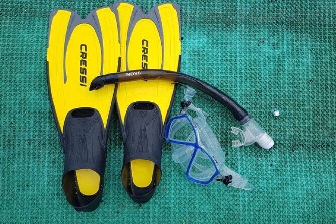 Cham Island Exploration Tour and Swimming with Local Guide - Value and Cost Analysis