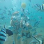 Cham Island: Underwater Walking & Snorkeling Tour - The Value Perspective