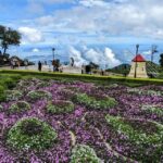 Chan May Port : Golden Bridge - Ba Na Hills Full Day Trip - An In-Depth Look at the Itinerary and What It Means for You