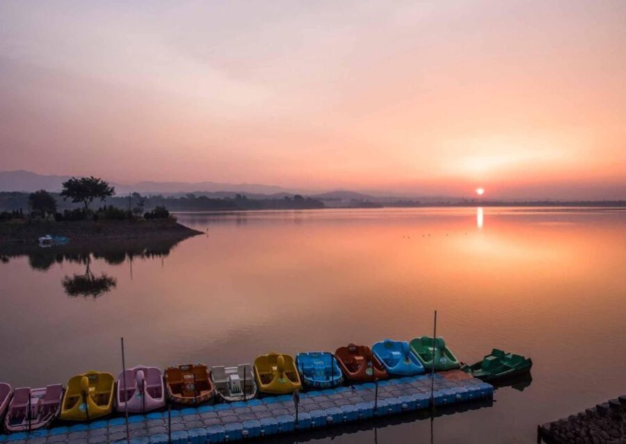 Chandigarh Nightlife Tour with shopping and food tasting - What’s Included and What to Know