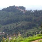 Changunarayan Hill to Telkot Hike Near Kathmandu Day Tour - Practical Insights and Value Analysis