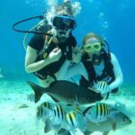 Chankanaab Park Plus Discovery Scuba Dive with Lunch - Key Points
