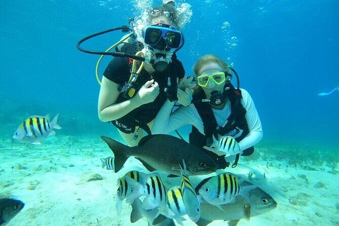 Chankanaab Park Plus Discovery Scuba Dive with Lunch - Key Points