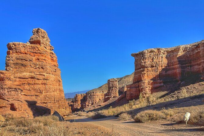 Charyn Canyon Private tour - The Highlight: Charyn Canyon and the Valley of Castles